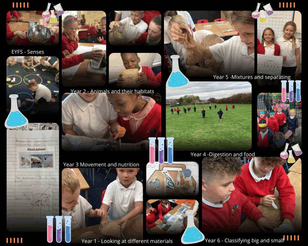Curriculum – Science 2025 – 2026 - Cotsford Primary School
